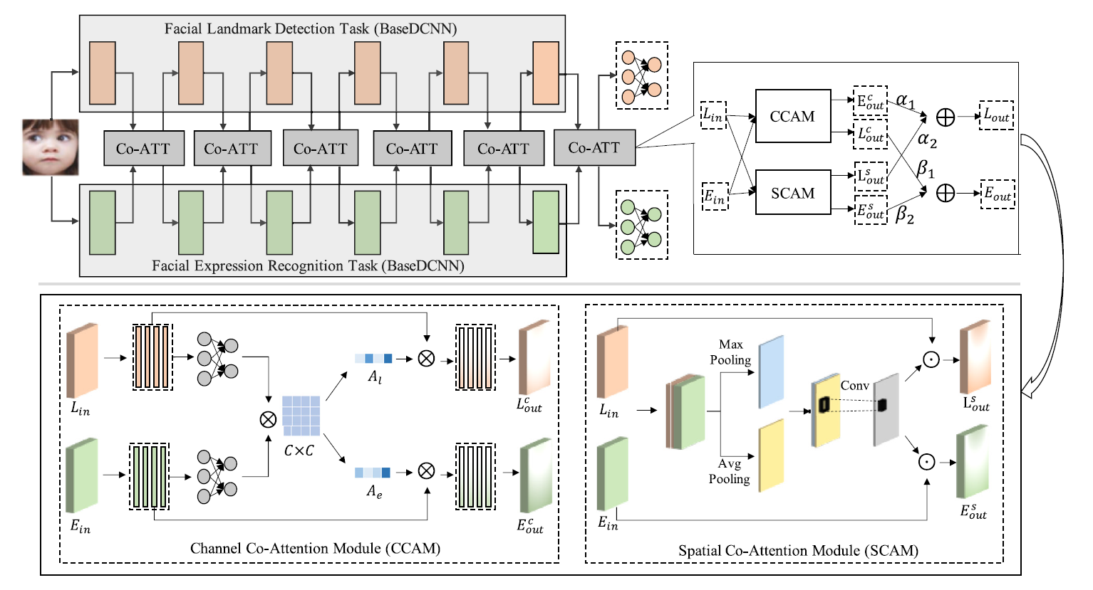 Co Attentive Multi Task Convolutional Neural Network For Facial Expression Recognition Hua Xu